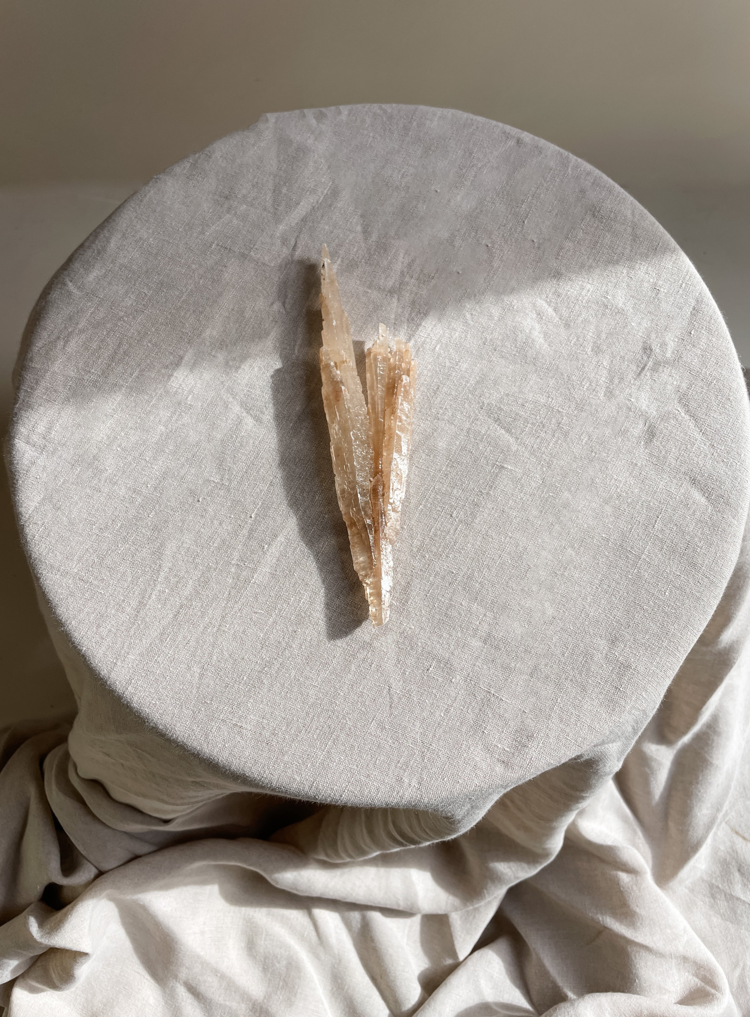 All Ancient – Salt Home